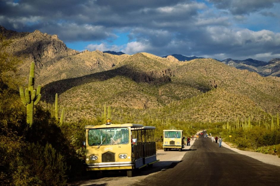 Your Family Will Love to Discover and Explore Tucson #freeyourself